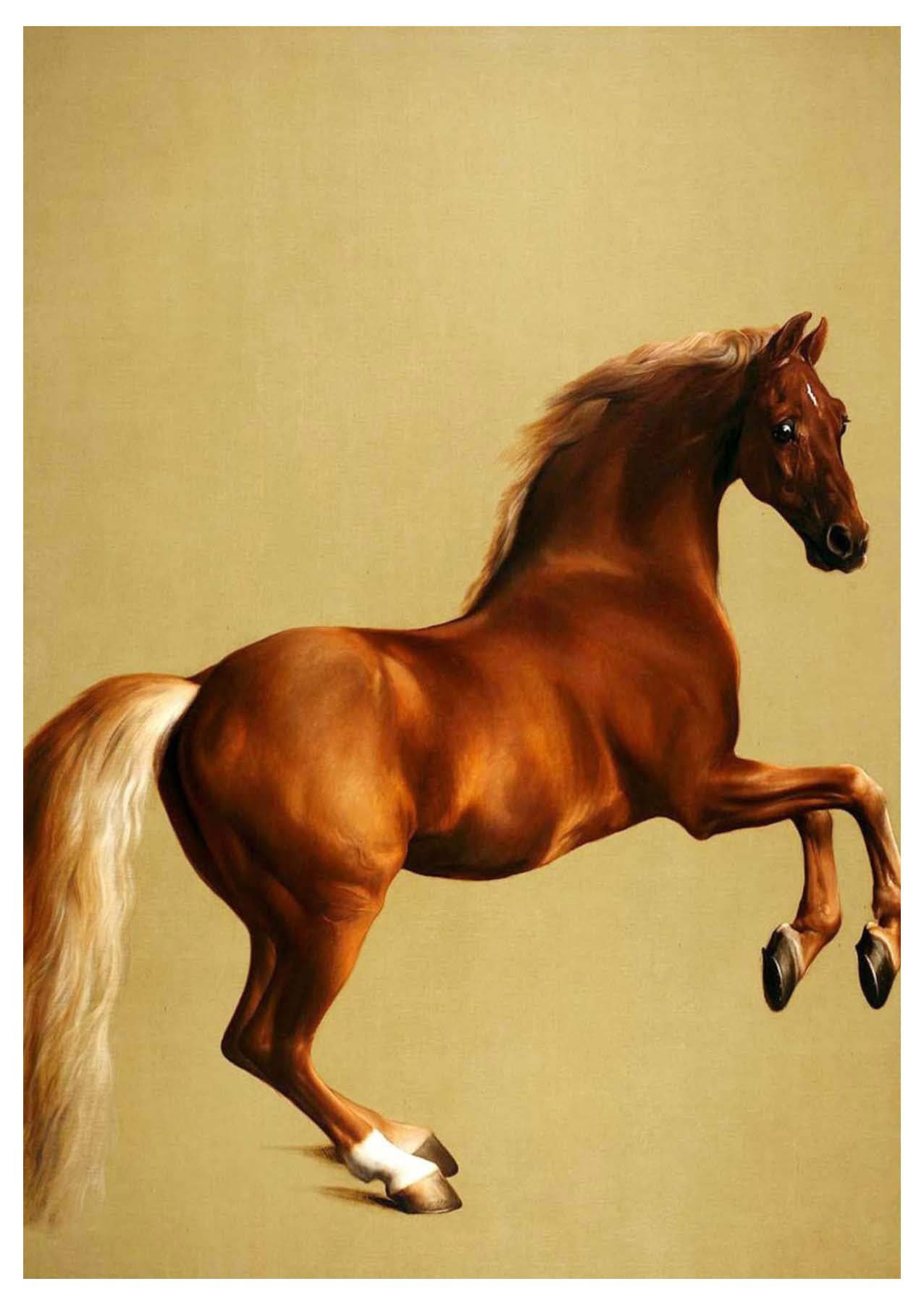 Whistlejacket by George Stubbs, 1762 – Classic Equestrian Art Print ...