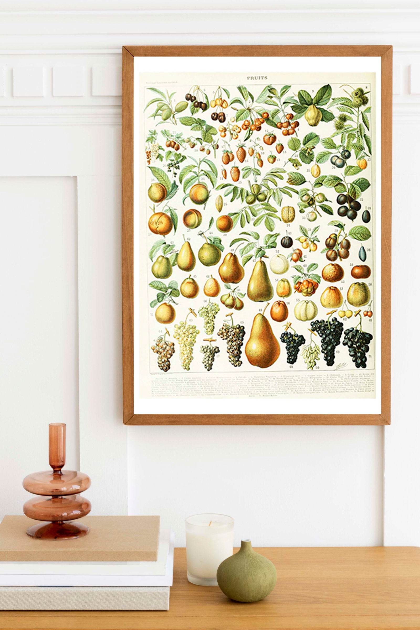 Adolphe Millot - Fruits III Poster – Hakyarts
