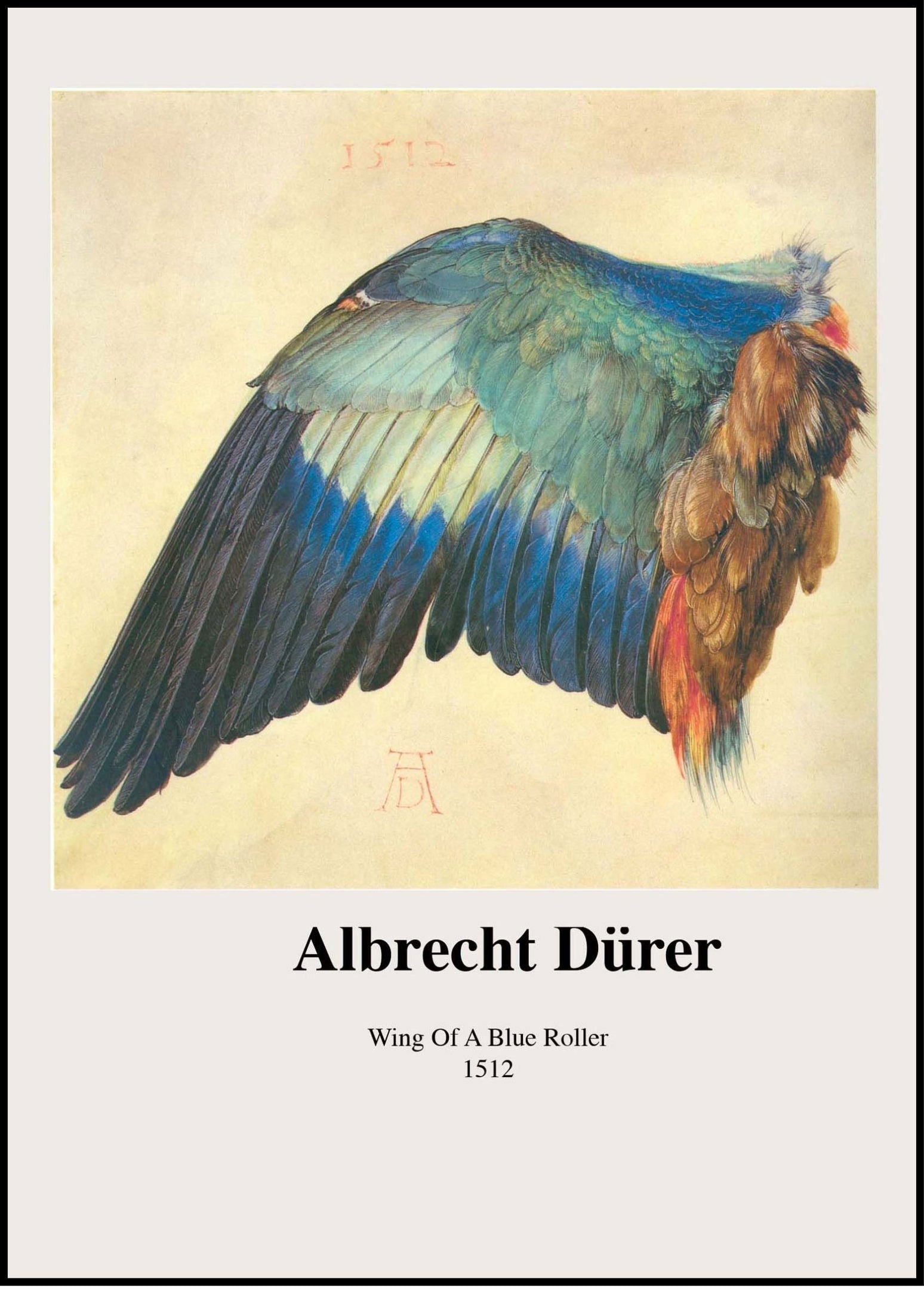 Albrecht Dürer – Wing of a Blue Roller - Renaissance Nature Study Art ...
