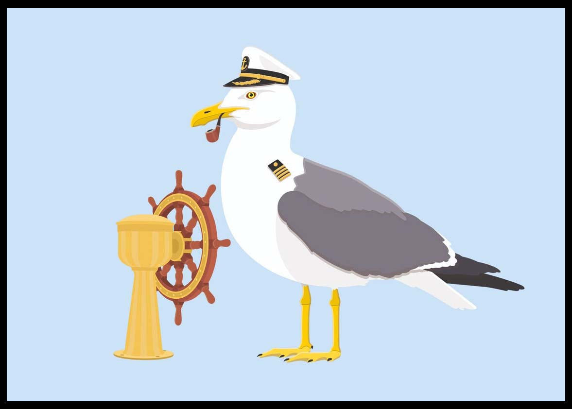 Captain Seagull Poster – Hakyarts