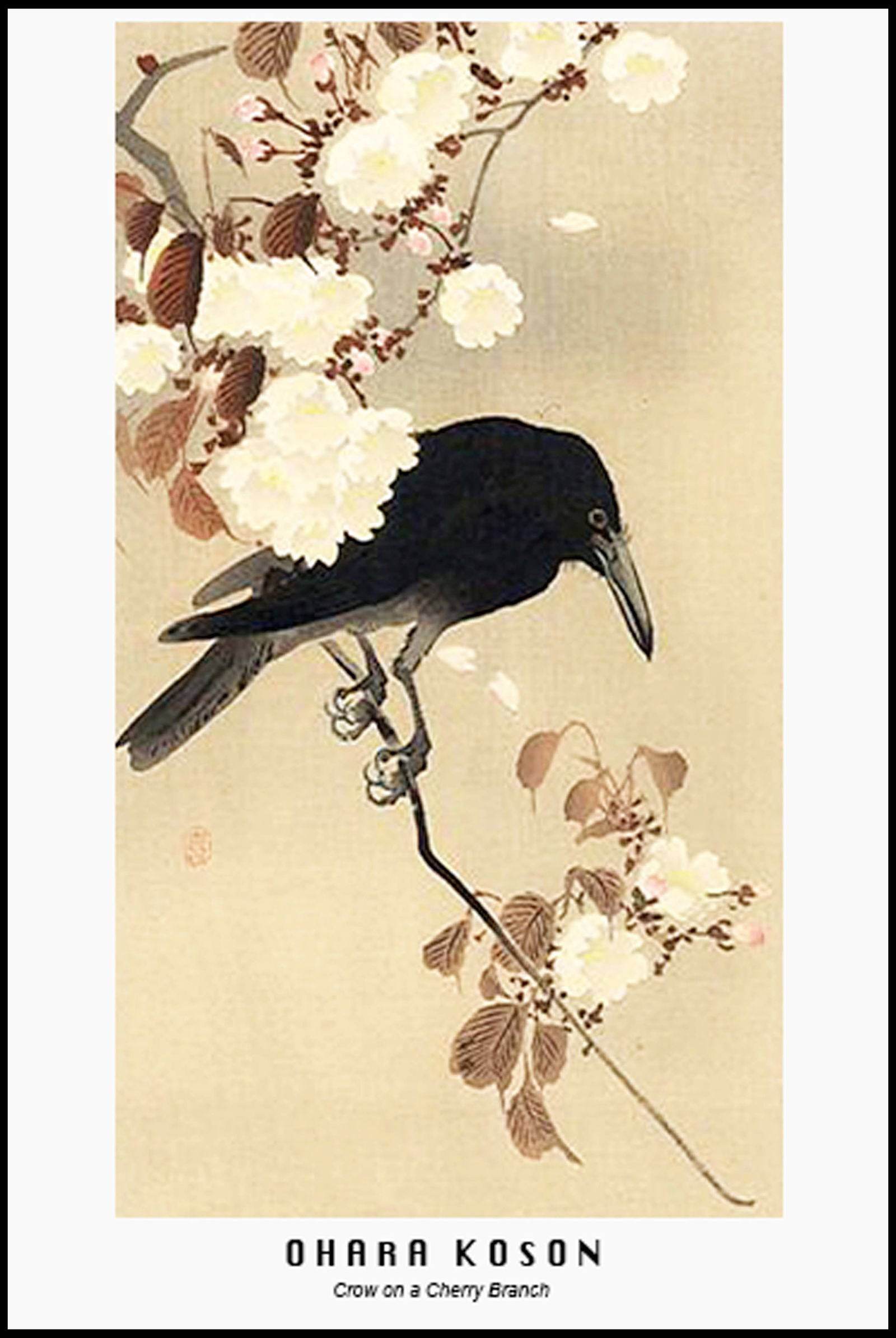 Ohara Koson - Crow on a Cherry Branch Poster – Hakyarts