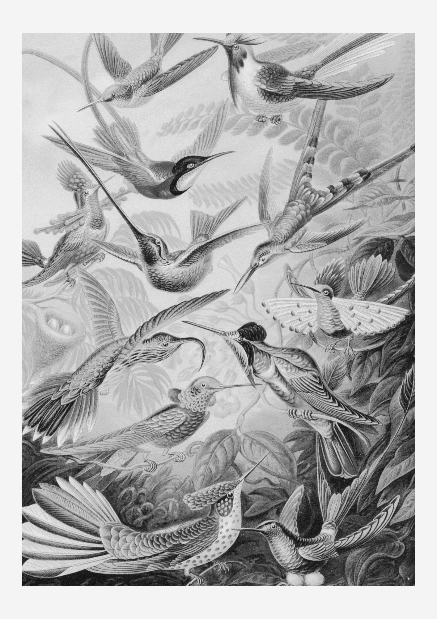 Vintage Flying Birds Poster – Elegant Wall Art for Nature & Home Décor ...